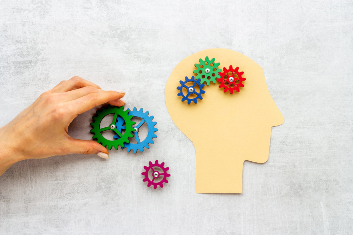 Management Response - Small and medium sized business specialists